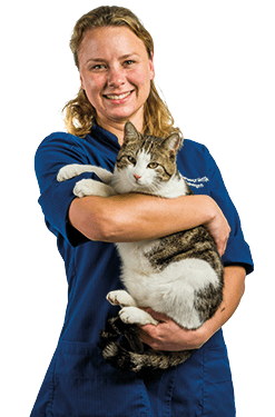 Home - Dierenarts Praktijk Haaksbergen