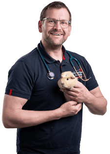 Home - Dierenarts Praktijk Haaksbergen